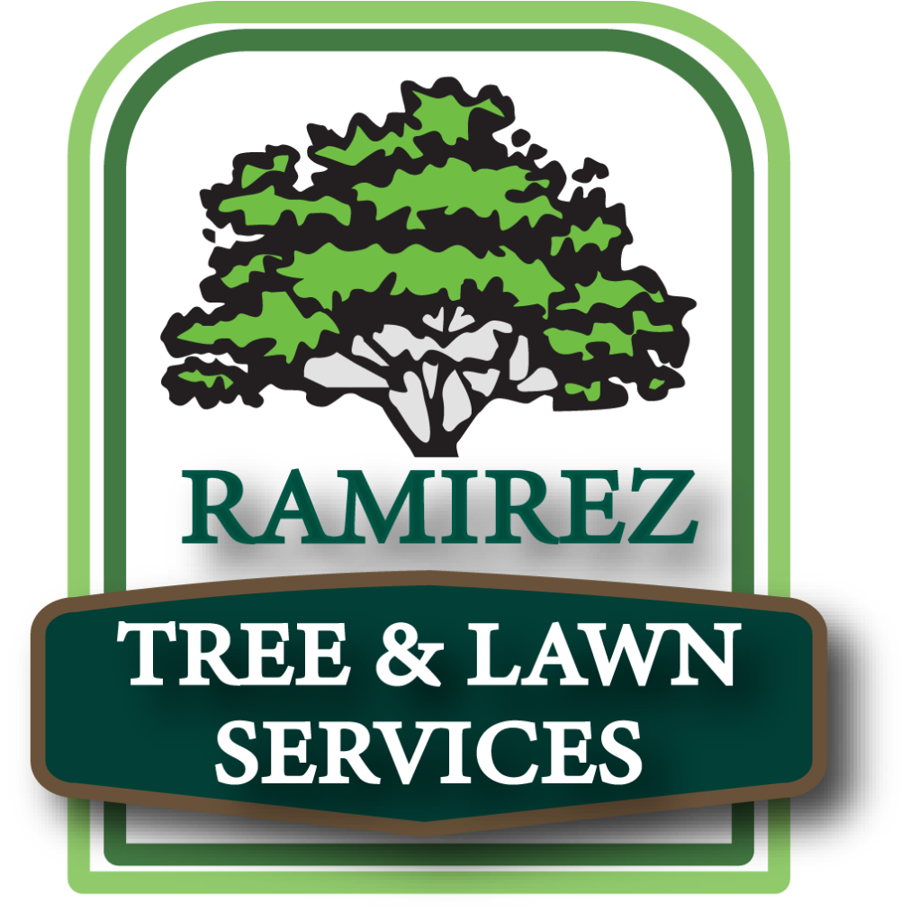 Home - Ramirez Tree And Lawn Services